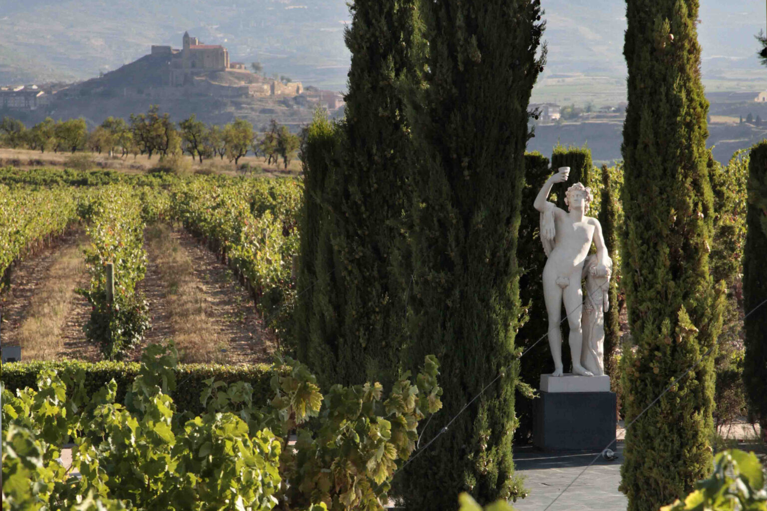 History of the Museum of Wine Culture. La Rioja : Vivanco: Winery